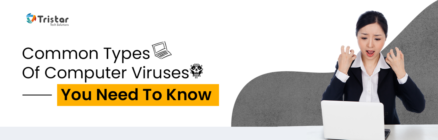 Common Types of Computer Viruses You Need To Know